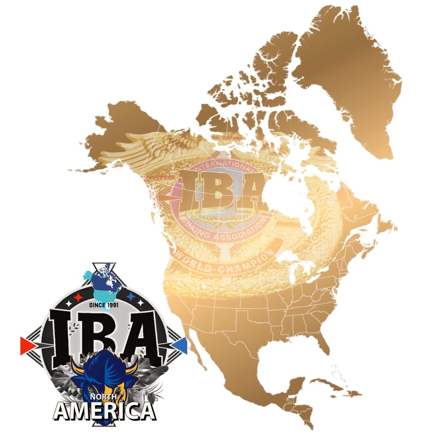 International Boxing Association